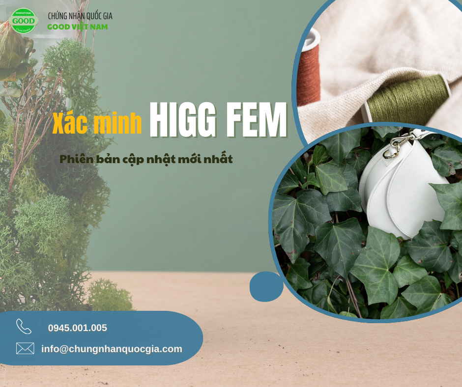 HIGG FEM là gì: Cơ hội cải thiện tính bền vững liên tục cho doanh nghiệp