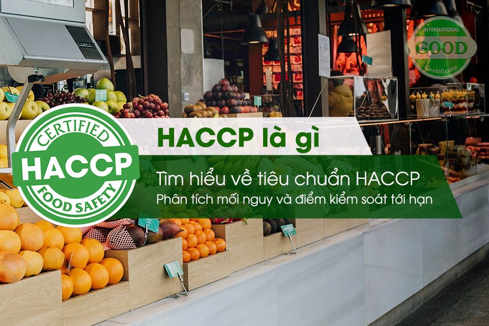 HACCP là gì ? Các thông tin chi tiết về tiêu chuẩn HACCP